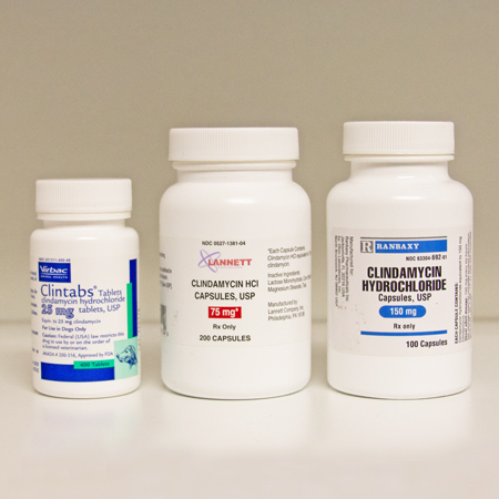 Clindamycin | PetMart Pharmacy - 877-220-6337